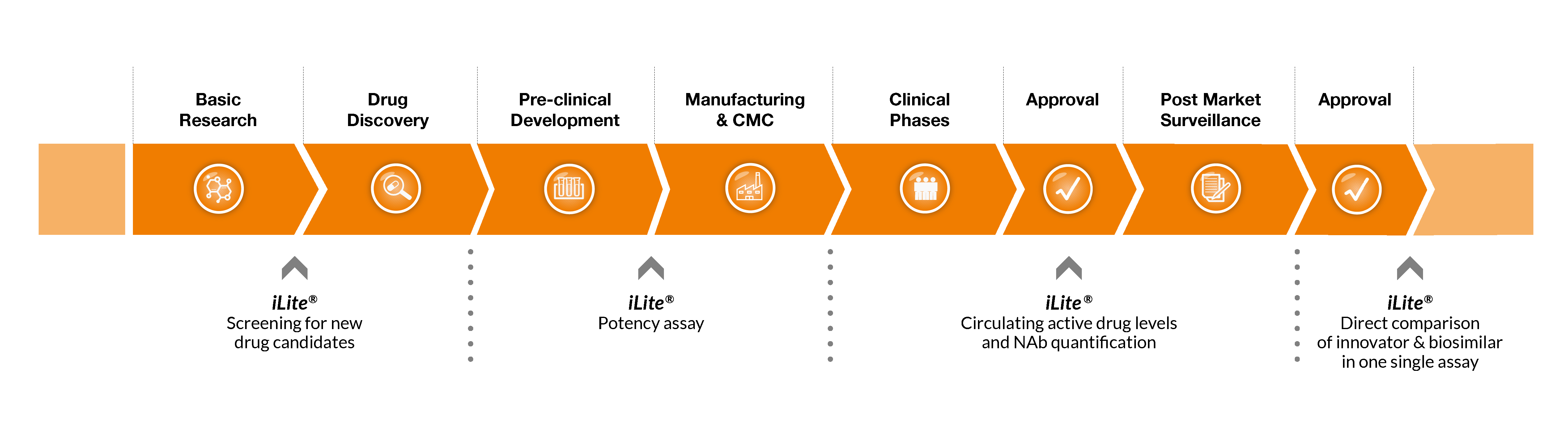 Cell-based assays - Application areas